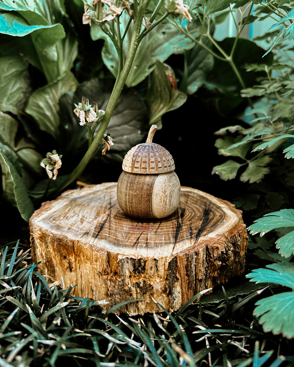 Large Acorn Pots – The Little Potion Co