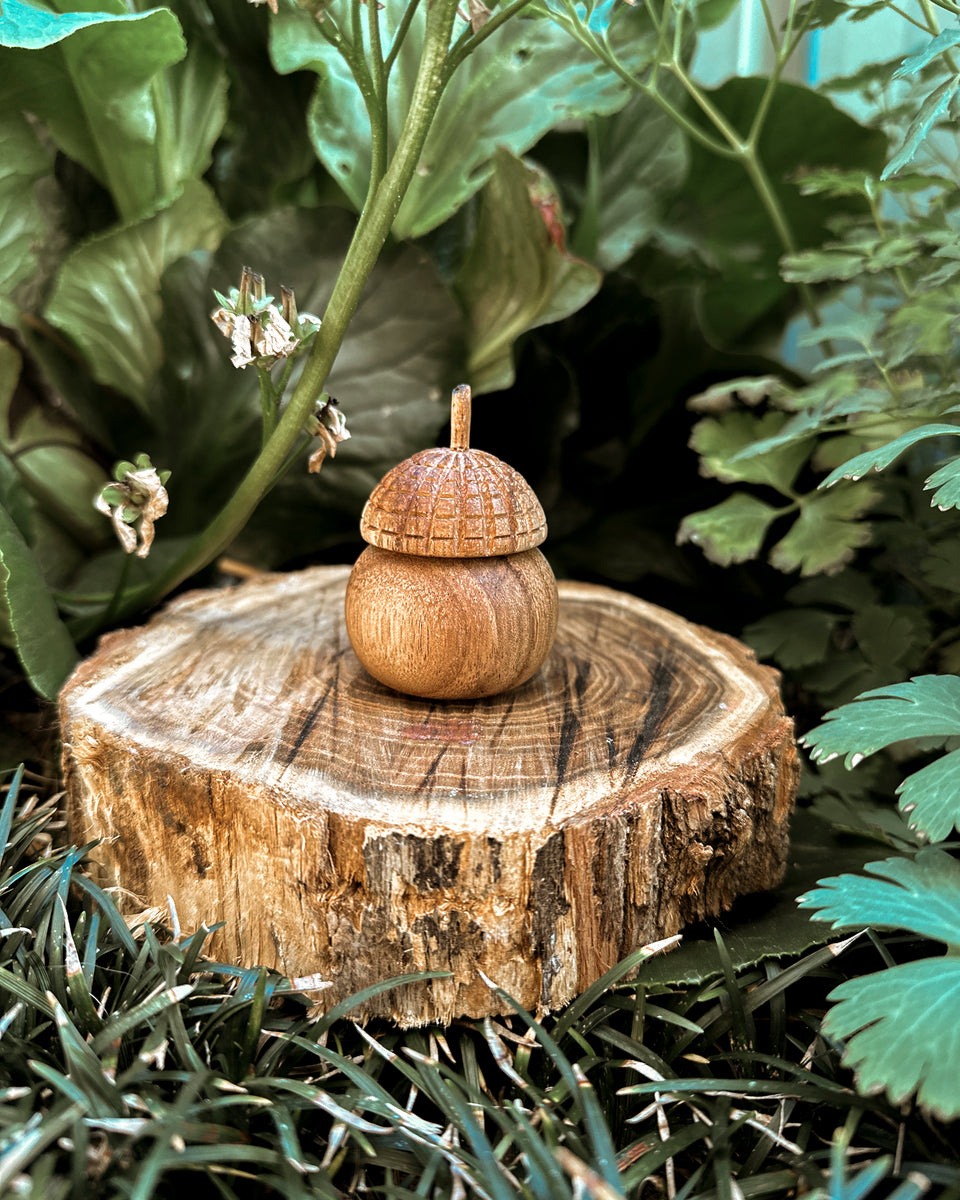 Acorn Pots – The Little Potion Co